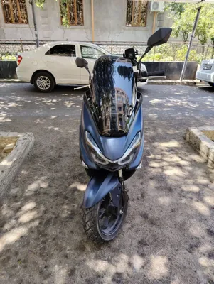 Gst Tiger 150 cc - BirBir